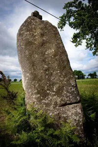 Noyal-sous-Bazouges - Tourisme, Vacances & Week-end