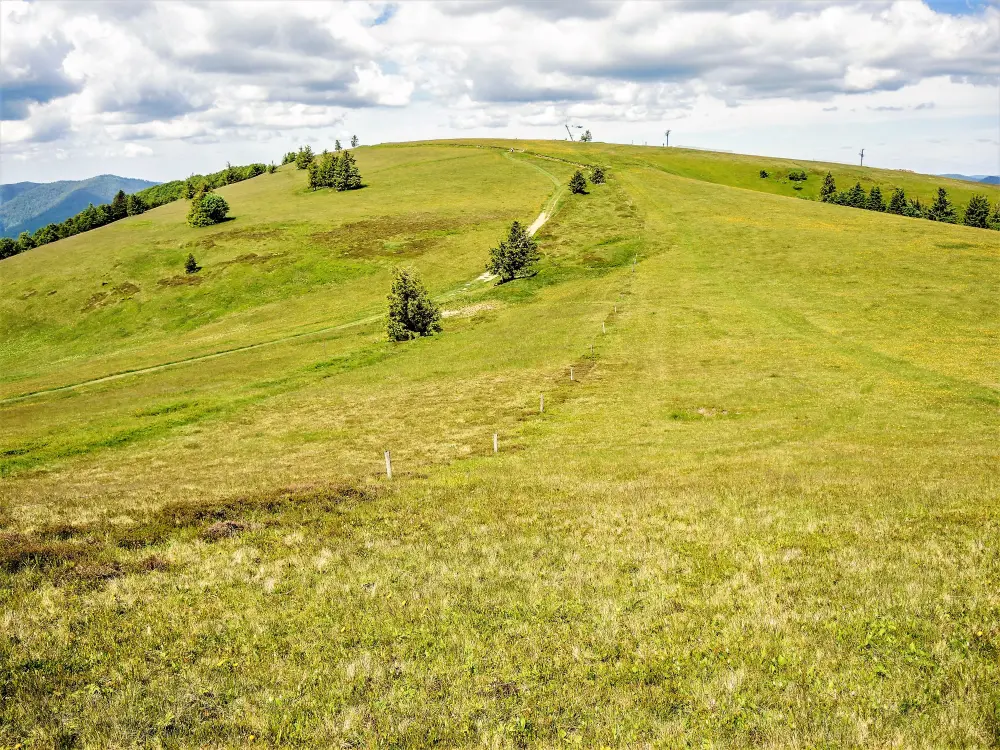Photos - Ski Resort Le Markstein - Leisure centre in Oderen