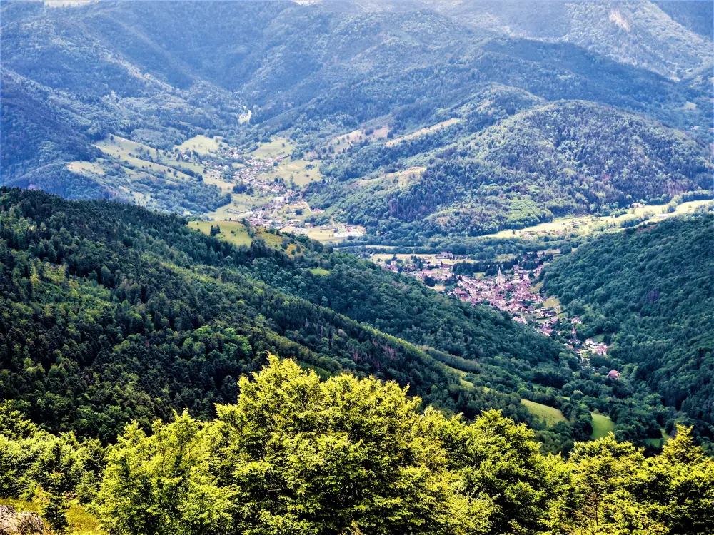 Photos - Ski Resort Le Markstein - Leisure centre in Oderen