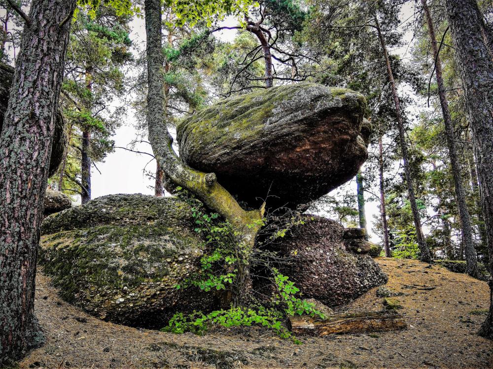 Photos - Orbey - Tourisme, Vacances & Week-end