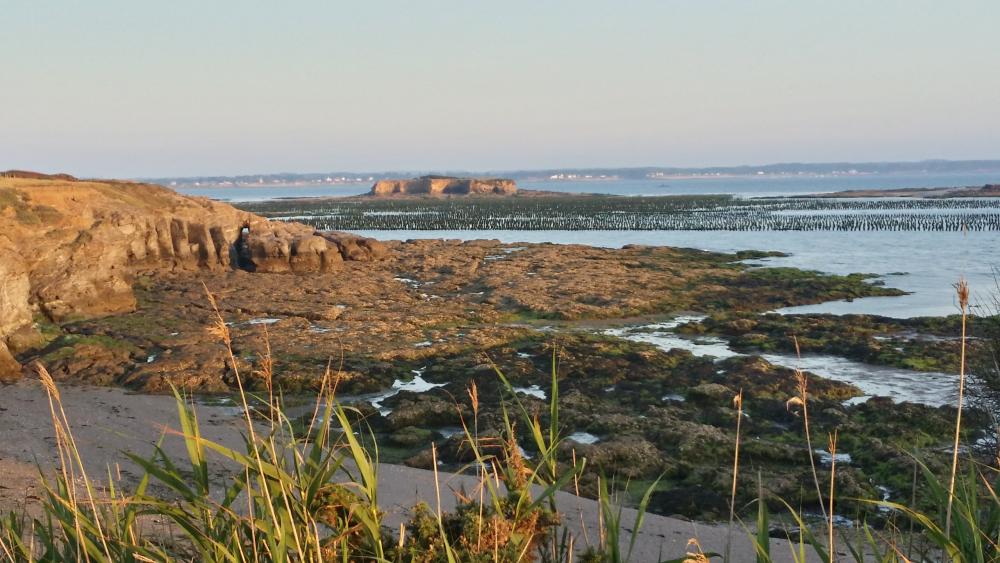 Photos - Pénestin - Tourisme, Vacances & Week-end