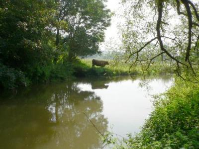 Reviers - Tourism, Holidays & Weekends