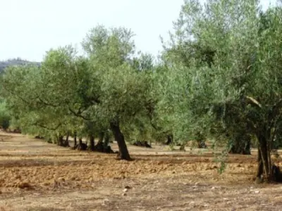 Rognac - Tourisme, Vacances & Week-end