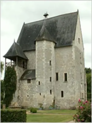 Saint-Benoît-la-Forêt - Tourism, Holidays & Weekends