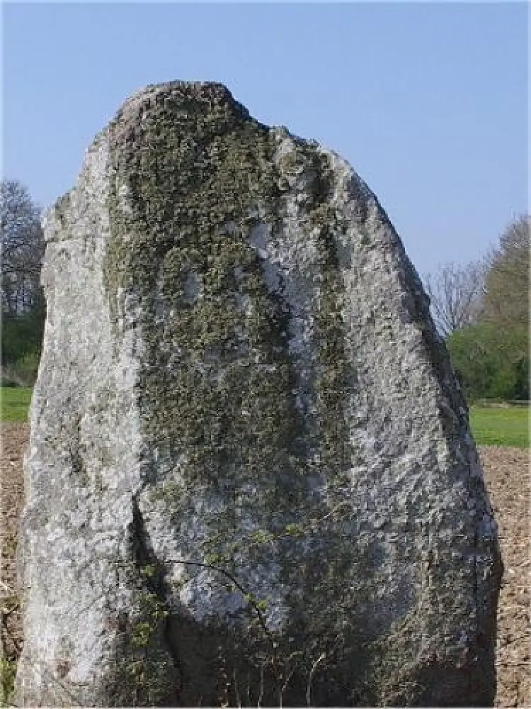 Photos - Saint-Marcan - Tourisme, Vacances & Week-end