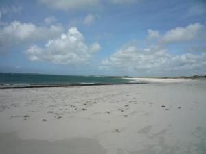 Saint-Pabu - Tourism, Holidays & Weekends