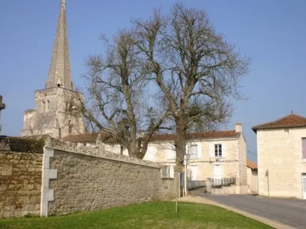 Photos - Saires - Tourisme, Vacances & Week-end