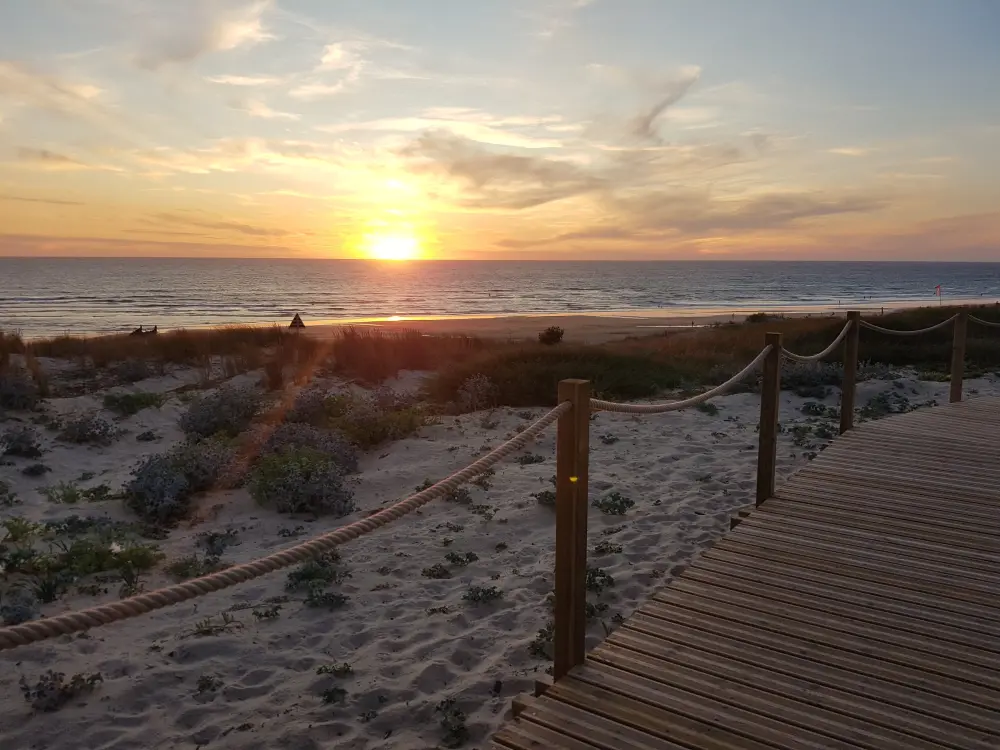 Photos - Seignosse - Tourisme, Vacances & Week-end