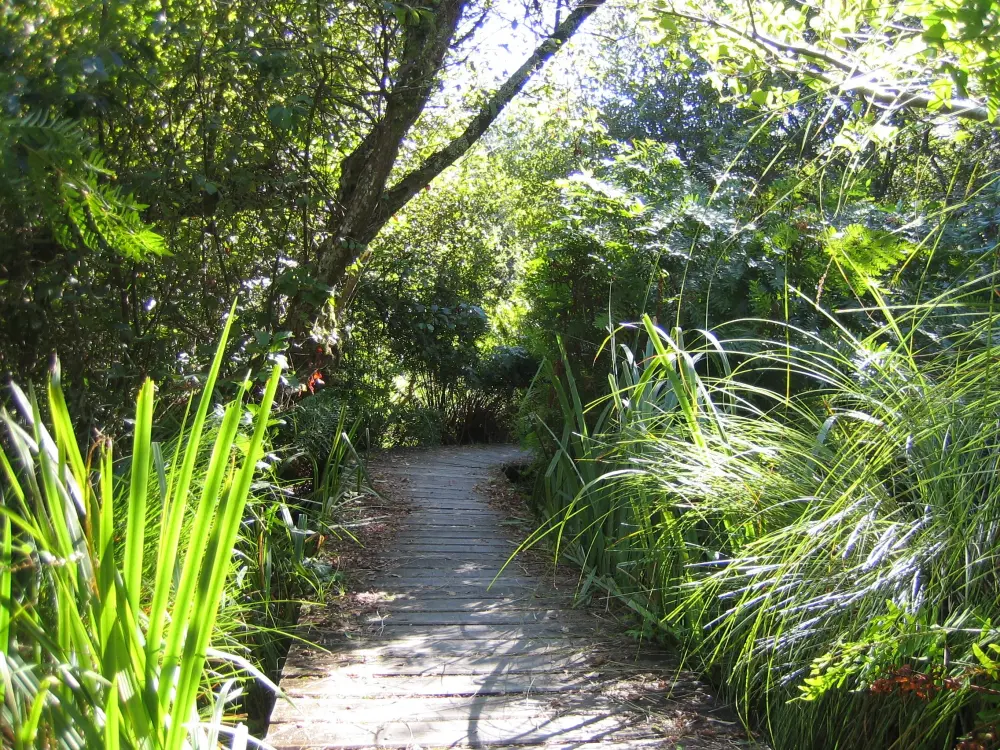 Photos - Seignosse - Tourisme, Vacances & Week-end