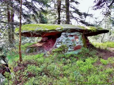 Senones - Tourism, Holidays & Weekends