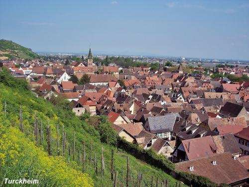 Foto's - Turckheim - Toerisme, Vakantie & Weekend