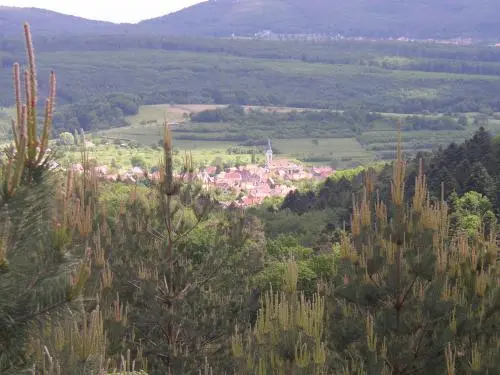 Wingen - Tourisme, Vacances & Week-end