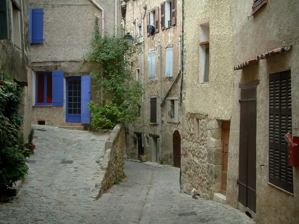 Photos - Bargemon - 7 images de qualité en haute définition