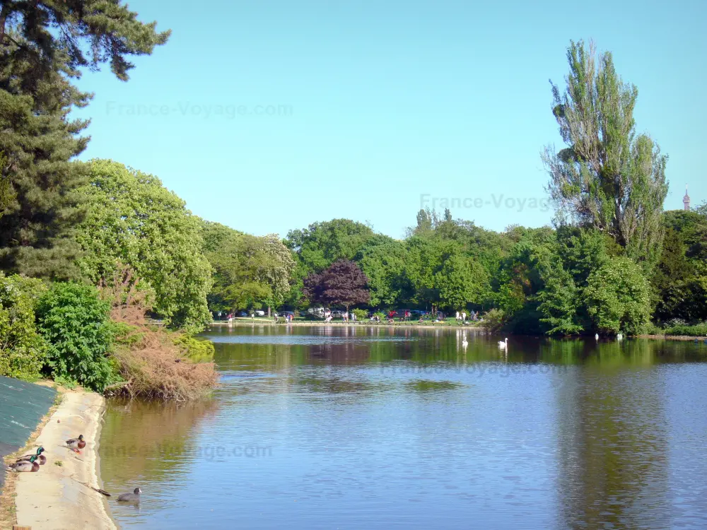 Fotos - El bosque de Bolonia - Guía turismo y vacaciones