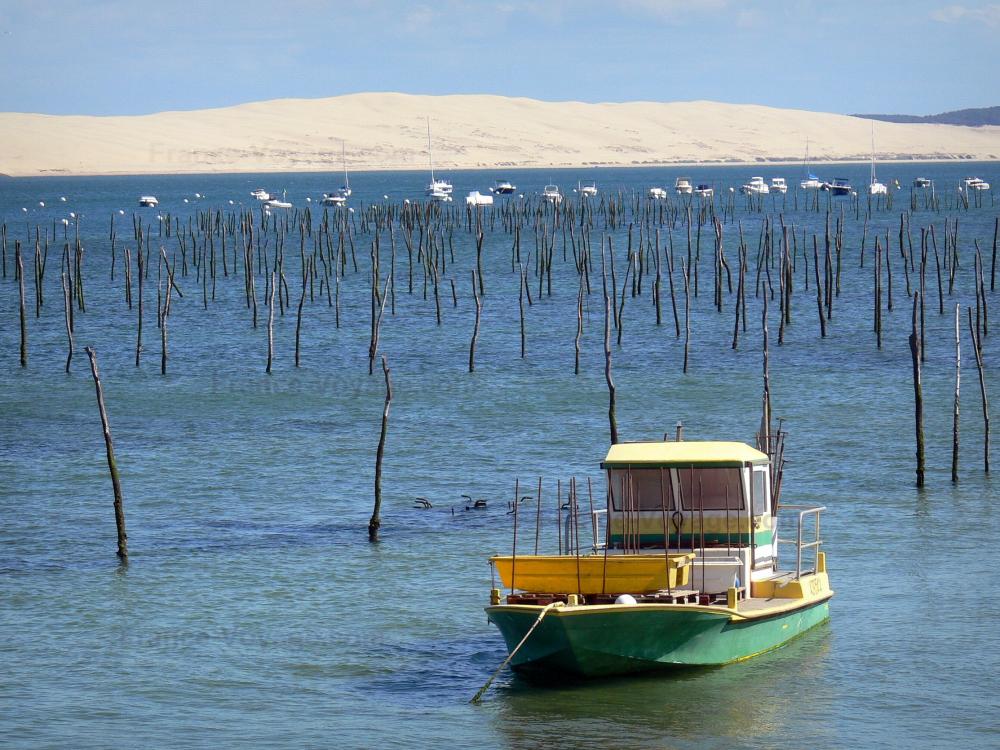 Photos - Le Cap-Ferret - Guide Tourisme & Vacances