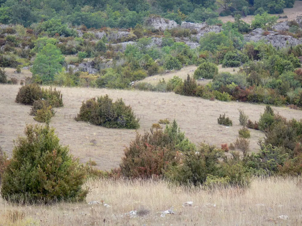 Photos - Le Causse du Larzac - Guide Tourisme & Vacances