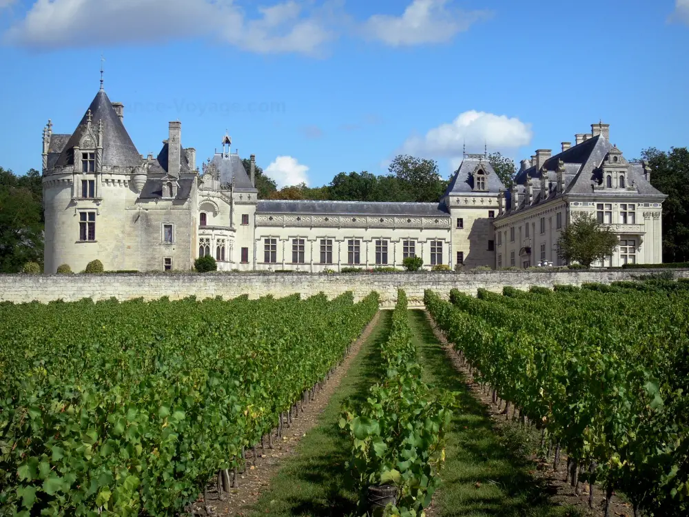 Photos - Le château de Brézé - Guide Tourisme & Vacances