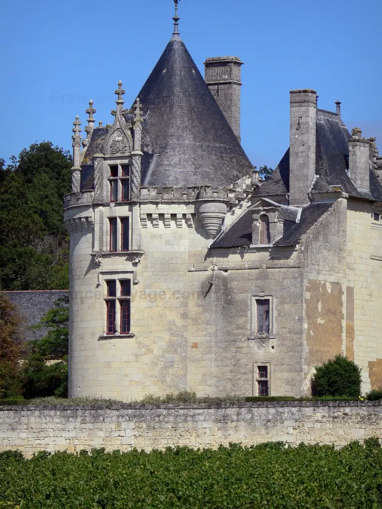 Photos - Le château de Brézé - Guide Tourisme & Vacances