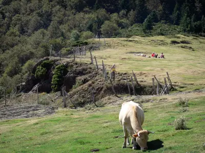 Le col d'Aspin - Guide Tourisme & Vacances