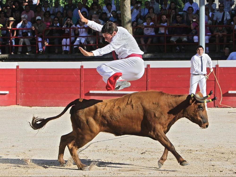 Photos - La course landaise - Guide Tourisme & Vacances