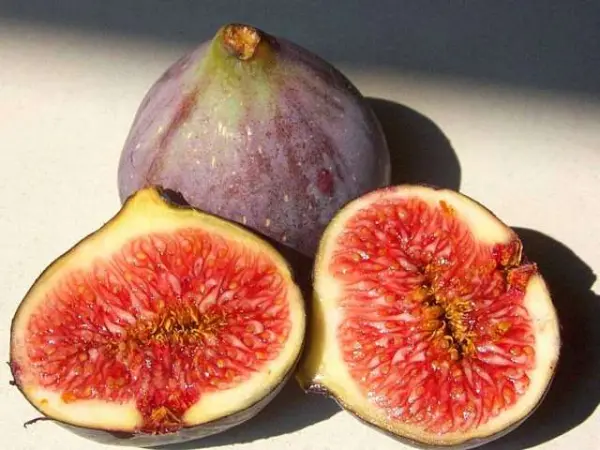 Il fico - Guida Gastronomia e vacanze