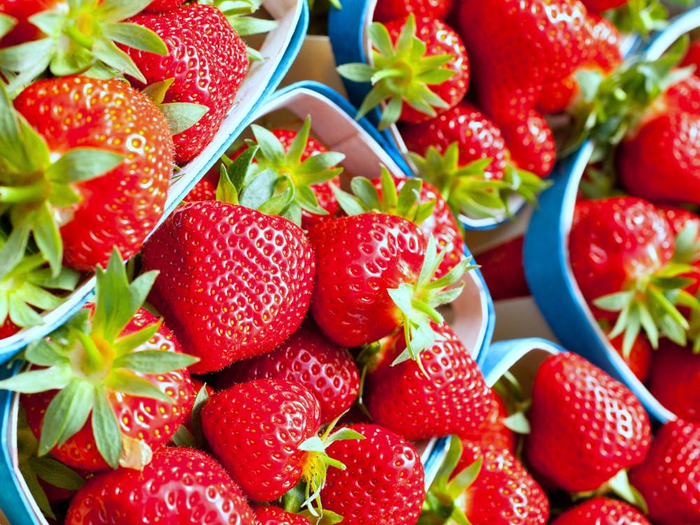 Photos - La fraise de Carpentras - Guide Gastronomie & Vacances