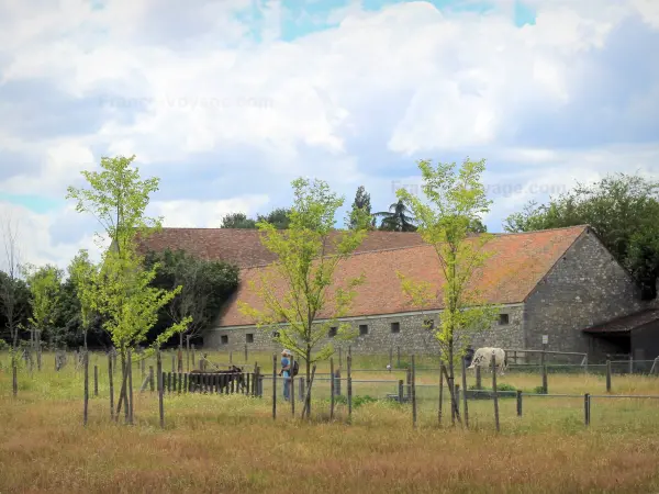 Gally educational farm - Tourism & Holiday Guide