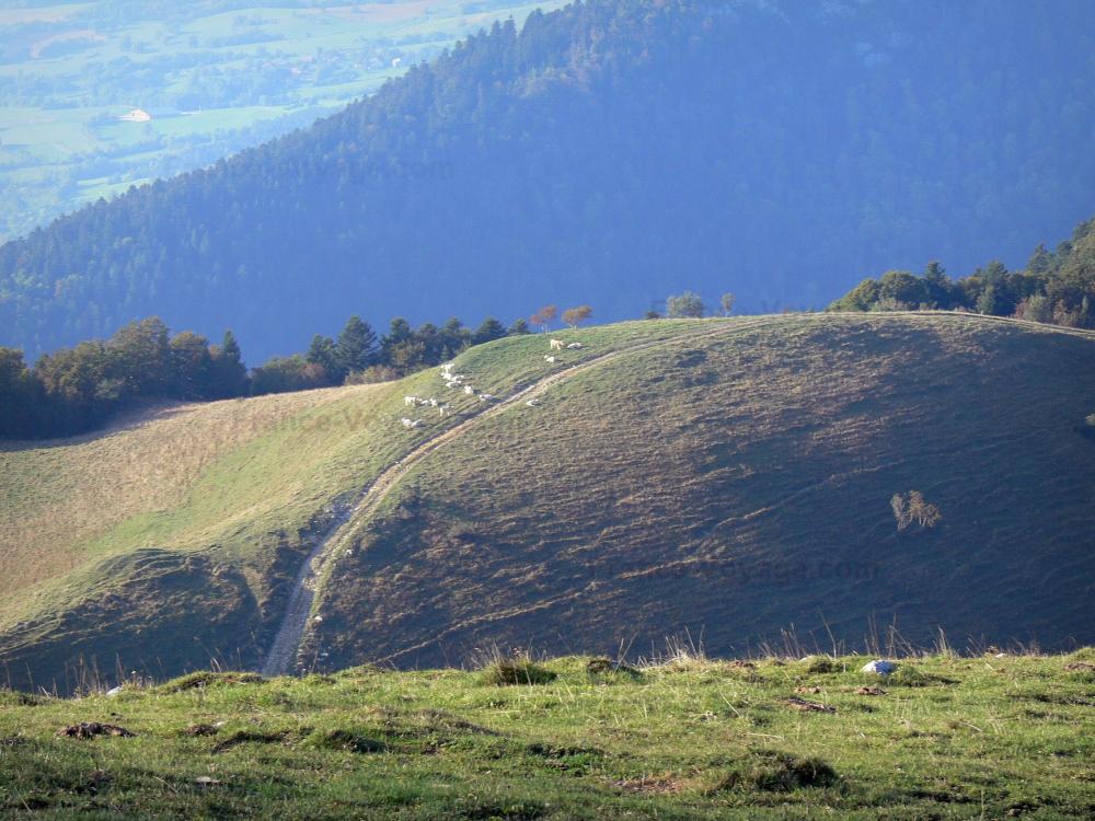 Photos - Le Grand Colombier - Guide Tourisme & Vacances