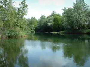 Le Grand Ried alsacien - Guide Tourisme & Vacances