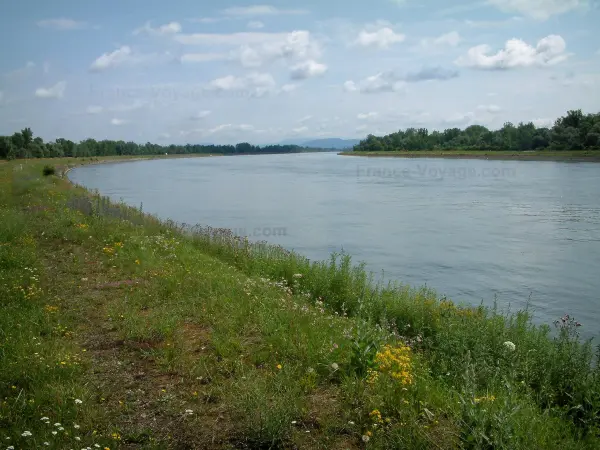 Le Grand Ried alsacien - Guide Tourisme & Vacances