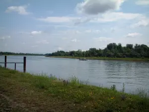 Le Grand Ried alsacien - Guide Tourisme & Vacances