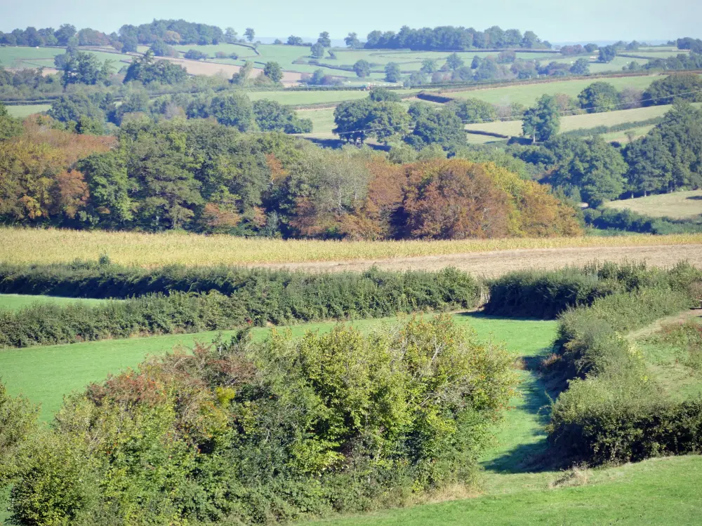 Foto's - Het Regionaal Natuurpark Le Morvan - Gids Toerisme & Recreatie