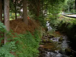 Le Hohwald - 9 images de qualité en haute définition