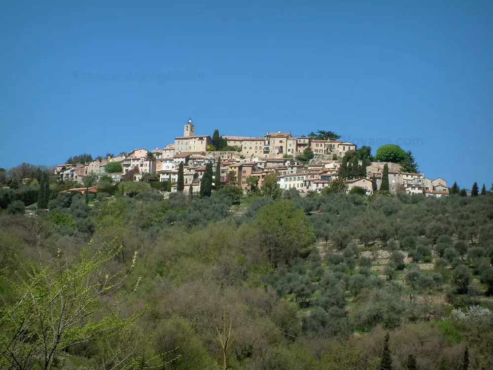 Photos - Inland countryside - 19 quality high-definition images