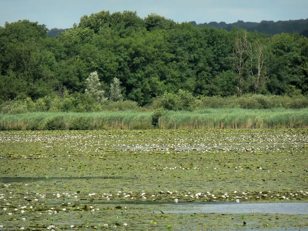 Photos - Le lac de Bairon - Guide Tourisme & Vacances