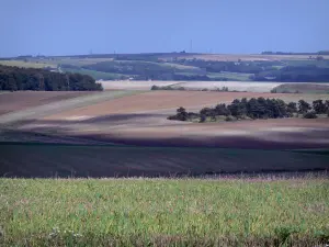Landscapes of the Marne - 21 quality high-definition images