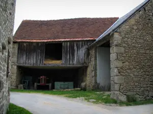 Masgot - 12 images de qualité en haute définition