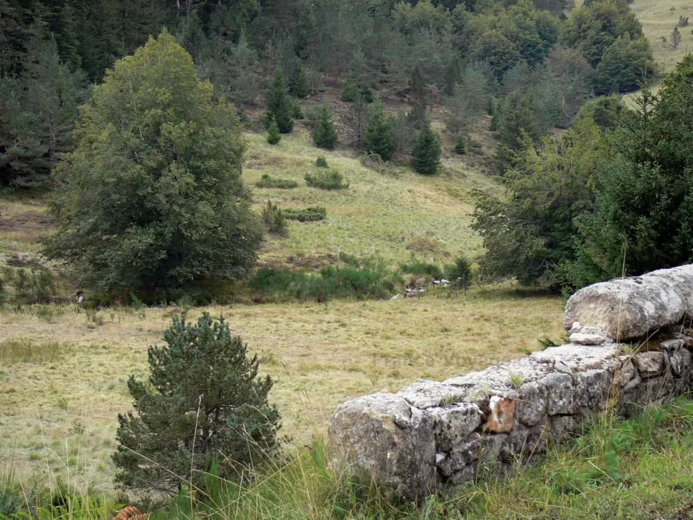 Photos - Massif de l'Aigoual - 17 images de qualité en haute définition