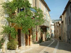 Mons - 7 quality high-definition images