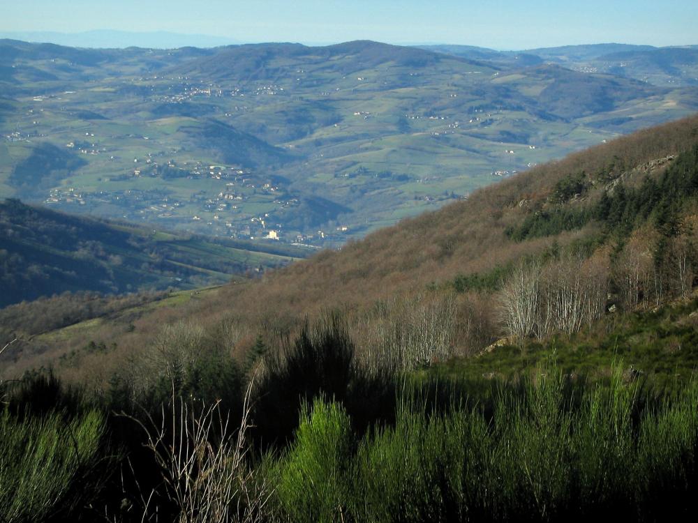 Photos - Les monts du Lyonnais - Guide Tourisme & Vacances
