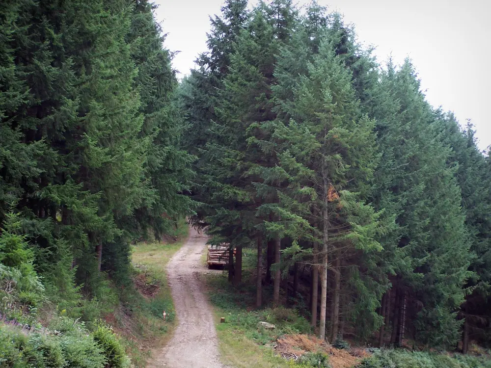 Photos - Morvan - 8 images de qualité en haute définition