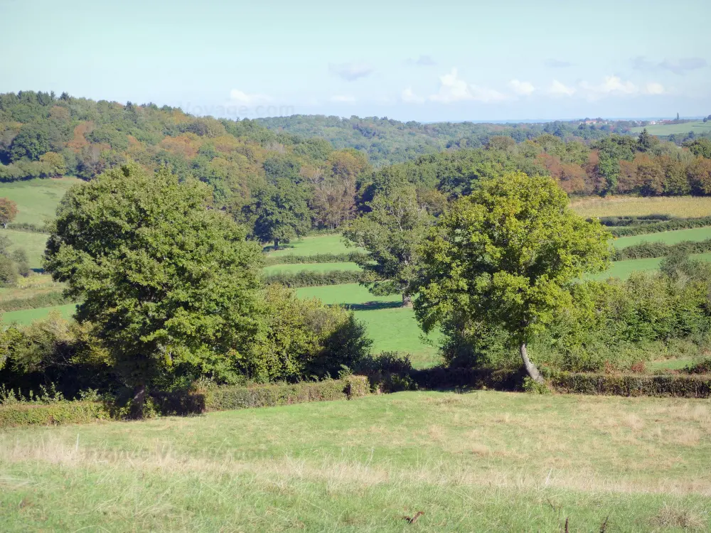 Photos - Morvan Regional Nature Park - 17 quality high-definition images