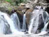 The Murel falls - Tourism & Holiday Guide