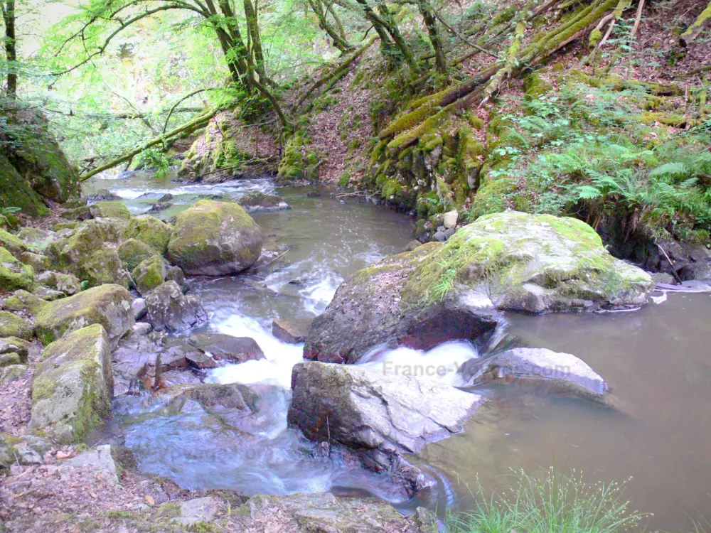 Photos - The Murel falls - Tourism & Holiday Guide