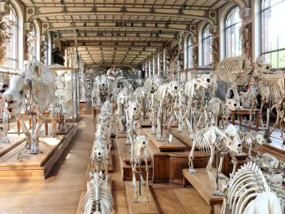 The National Museum of Natural History - Tourism & Holiday Guide