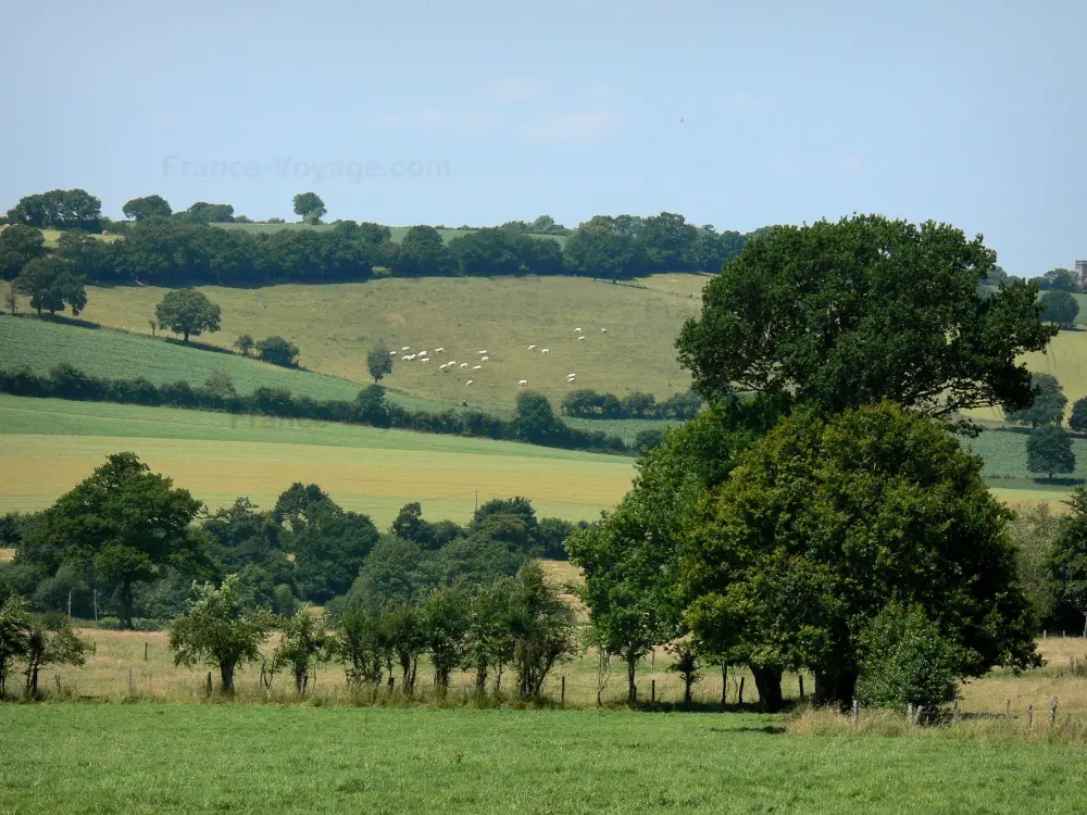Photos - Normandie-Maine Regional Nature Park - Tourism & Holiday Guide