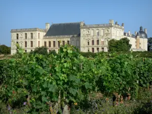 Oiron castle - 10 quality high-definition images