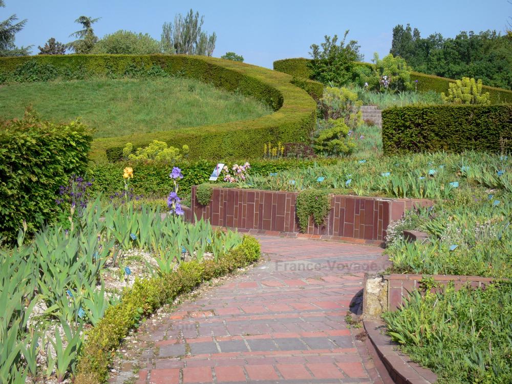 Photos - Parc floral de Paris - 20 images de qualité en haute définition