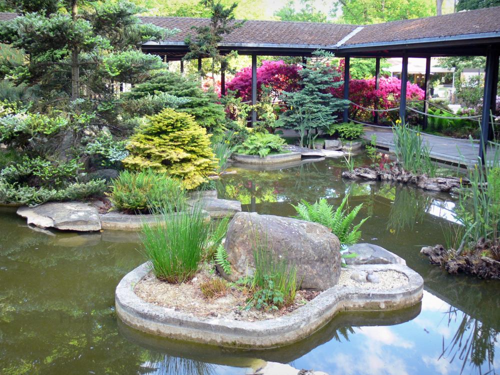 Photos - Parc floral de Paris - 20 images de qualité en haute définition