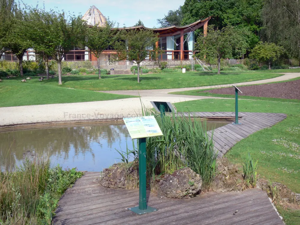 Photos - Le parc floral de Paris - Guide Tourisme & Vacances